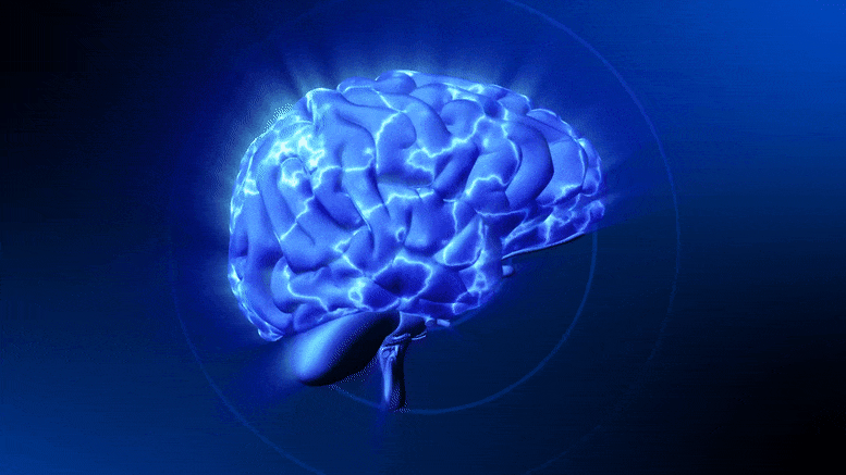 Unlocking the Quirky Mechanics of Our Minds | by SK Sami | Medium