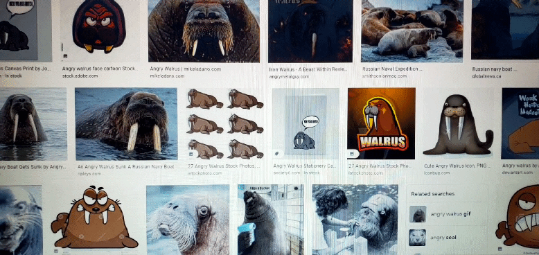 MEGA HUDDLE OF WALRUS SINK BEZOS MEGA YACHT | by Sexy Hermit | The ...