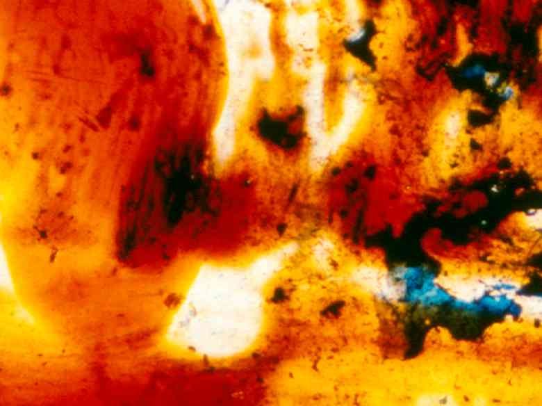 “The Eyes that couldn’t breathe” — The Filmmaker who scared a century | by Tom Heath | Medium