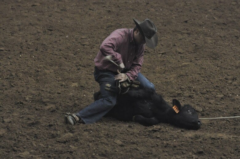 Data Wrangling in Python. Understand data wrangling in Python: A… | by ...