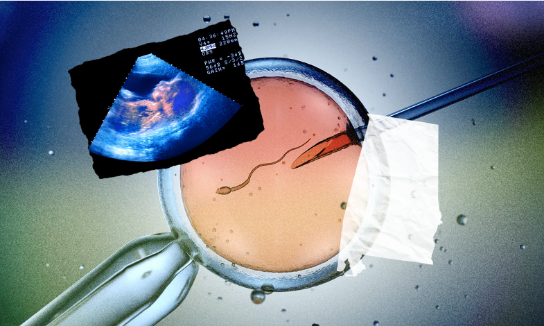 As Alabama Essentially Bans IVF, My Husband and I Write a Thank You ...