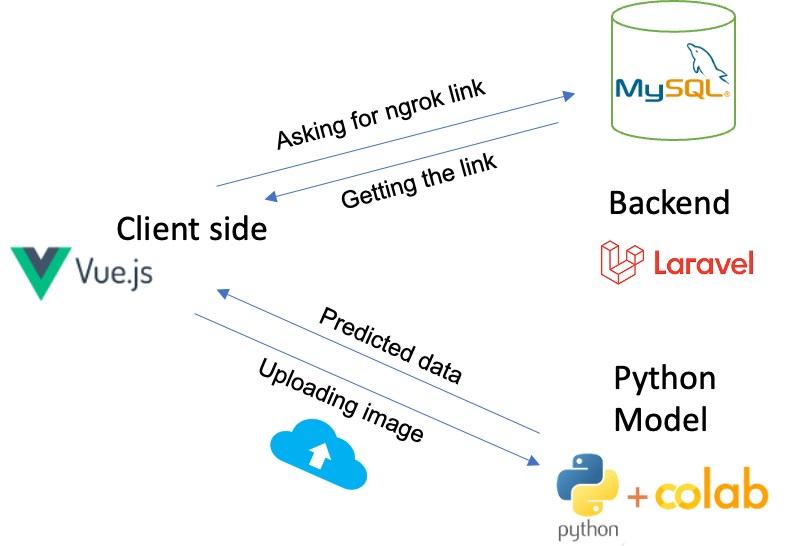 An Intelligent Chest X-ray Abnormalities Detection System using AI | by ...
