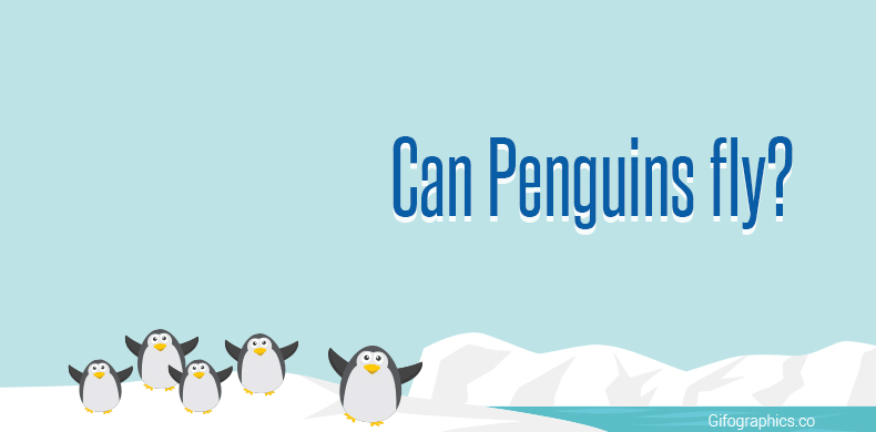Can Penguins Fly? [Animated Infographic] | by Gifographics | Medium
