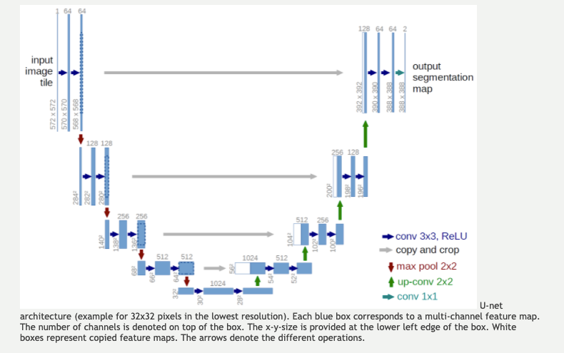 Understanding Skip Connections in Convolutional Neural Networks using U ...