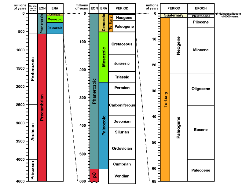 Memorizing the Geologic Time Scale | by Ben Pang | Medium