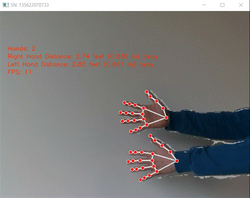 Hand Detection in 3D Space. Integrating Google Mediapipe with Intel ...