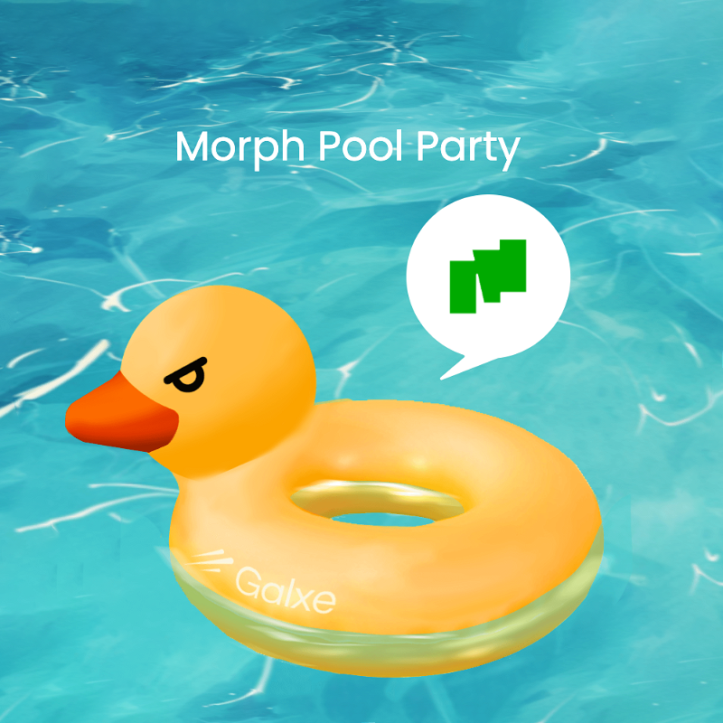 Resumen semanal de Morph 7.1 | by Morph Global | Jul, 2024 | Medium