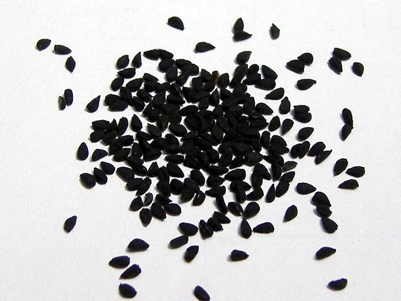 Therapeutic Properties of Black Seed (Part 3 of 7) | by Safia Fatima ...