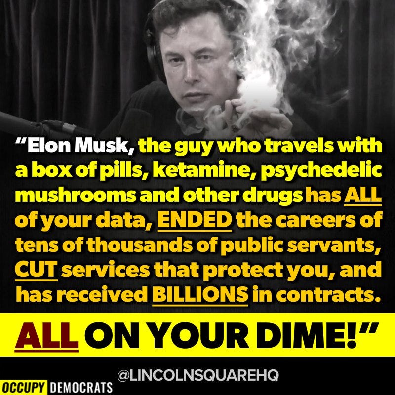 Good Riddance To Elon Musk: The DOGE Bag | by Dennis Crawford | Medium