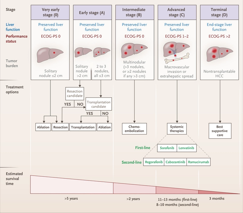 Cancer Genomics I: An introduction to working with gene expression data ...