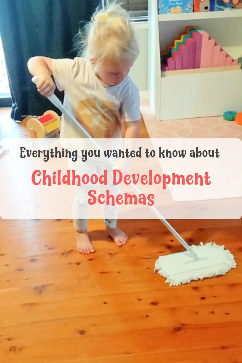 Schema 101: Everything you ever wanted to know about Childhood Develop ...