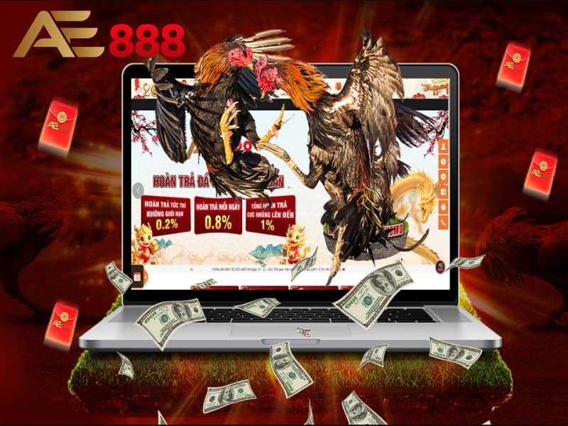 Ca cuoc da ga truc tuyen AE88 uy tin so 1 Viet Nam 2024 | by AE888 webscam | Aug, 2024 | Medium