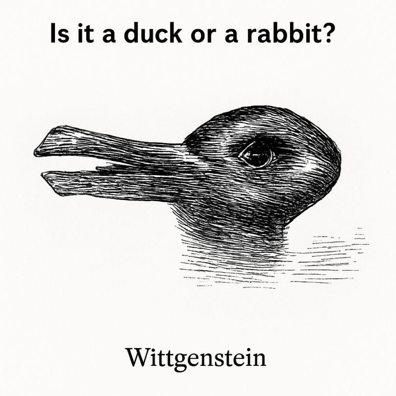 Duck-Rabbit Illusion: The Interpretation of Brains and No Brain ...