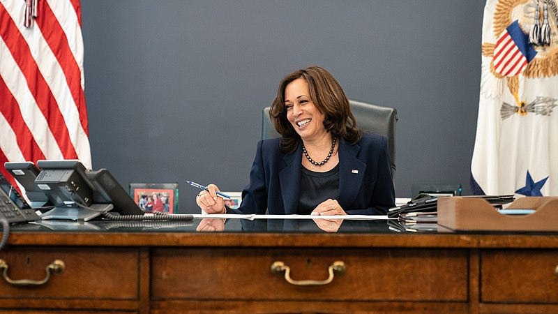 7 Interesting Facts About The Vice Presidency Of America | by Isa Nan ...