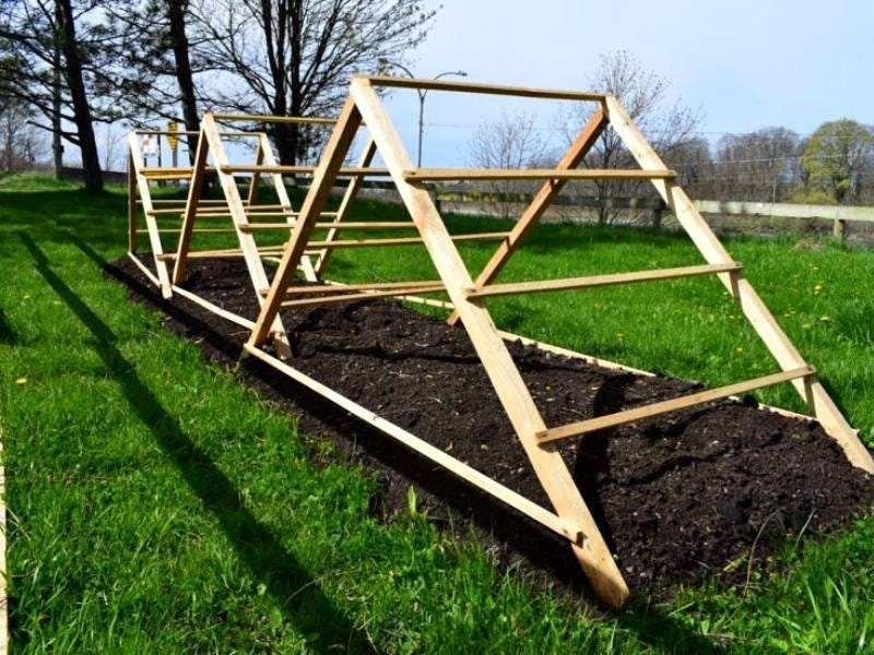 Unique Trellis Options For Climbing Plants | by Tralee Gardens | Medium