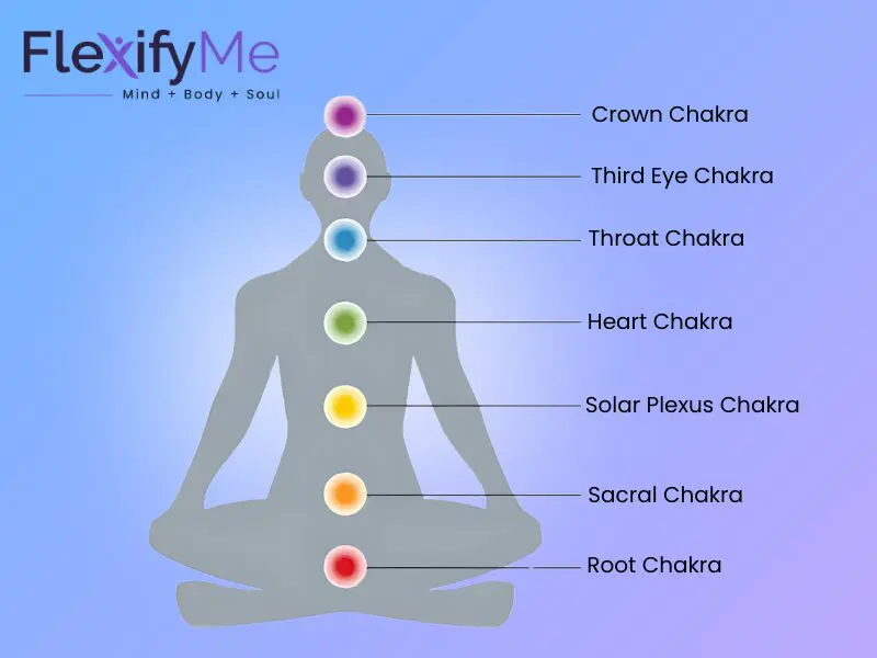 Exploring the Seven Chakras of the Human Body | by Flexifyme | Jul ...