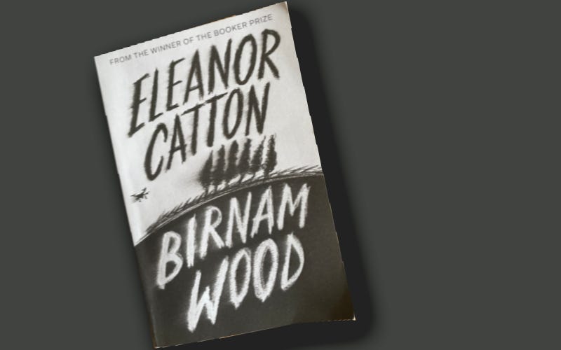 The strangest and most delightful of thrillers: a review of Birnam Wood ...