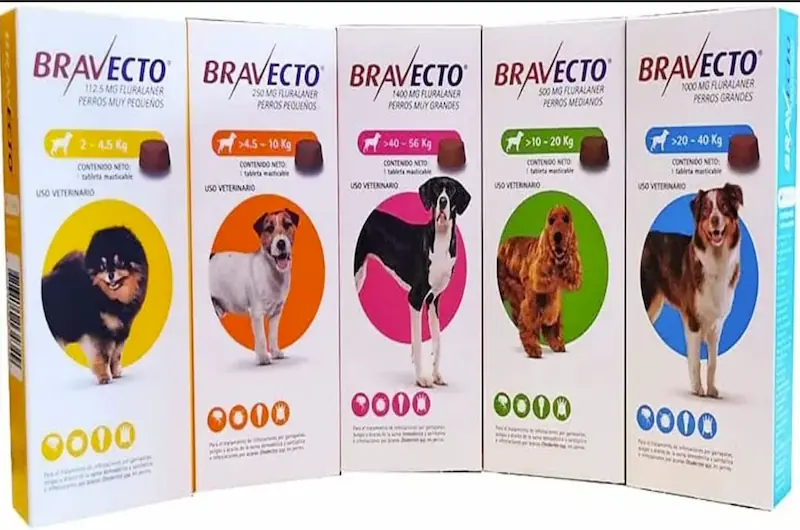 Bravecto for Dogs: The Ultimate Solution for Fleas and Ticks | by ...