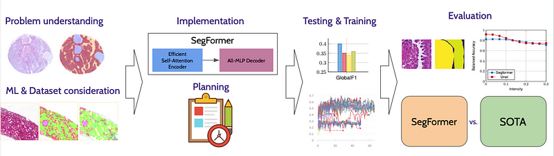 Mastering Deep Learning Architectures for Medical Semantic Segmentation ...