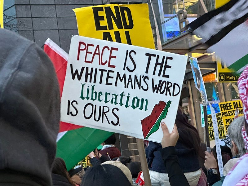 The United Nations is not going to save you | by Dru 𖤓 | Medium