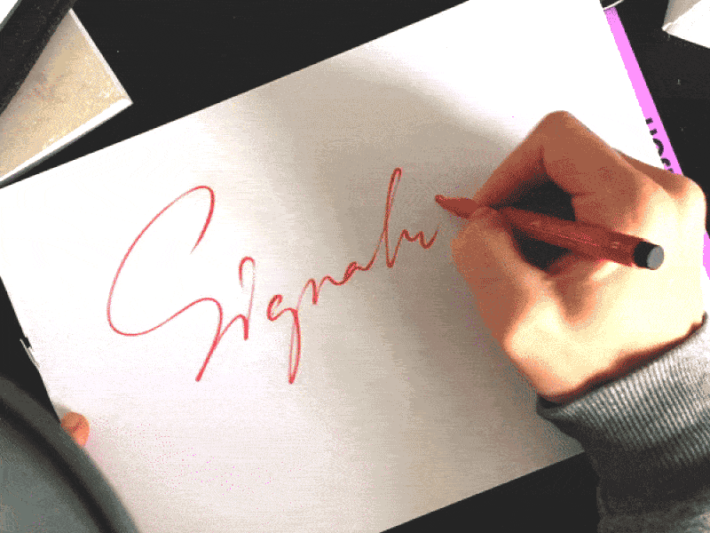 Signature Forgery Detection using Deep Learning | by AI Technology ...