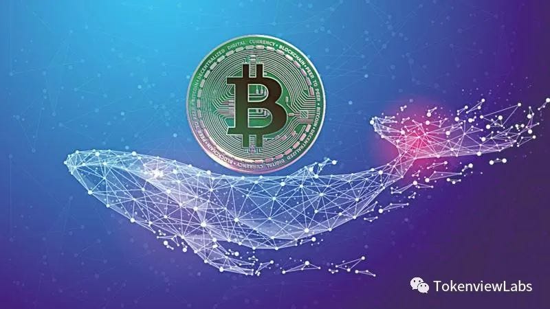 How to use Bitcoin block explorer？How to use Bitcoin API？ | by Tokenview.io | Coinmonks | Medium