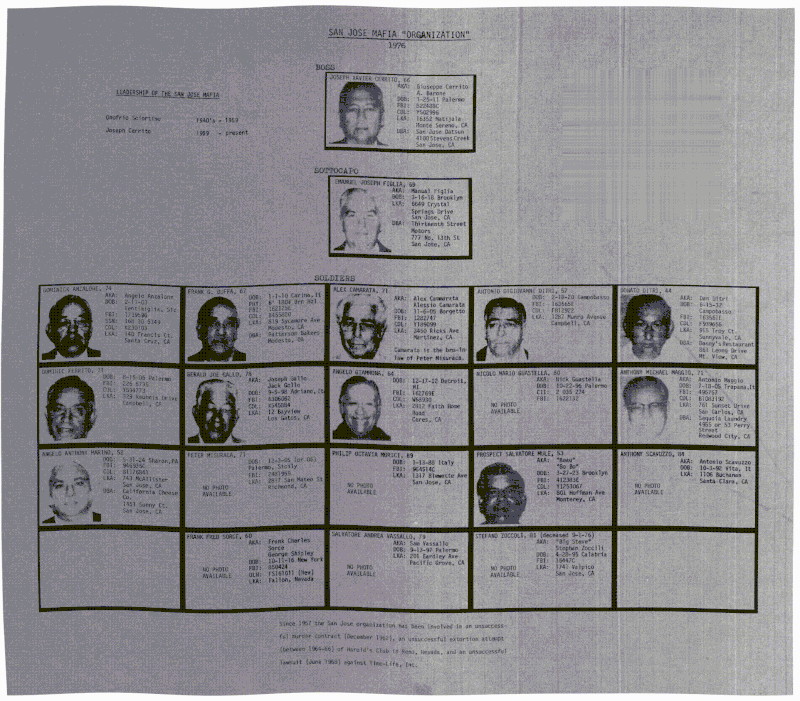 The San Jose Crime Family: Rise, Leadership, and Decline | by Chelsea ...