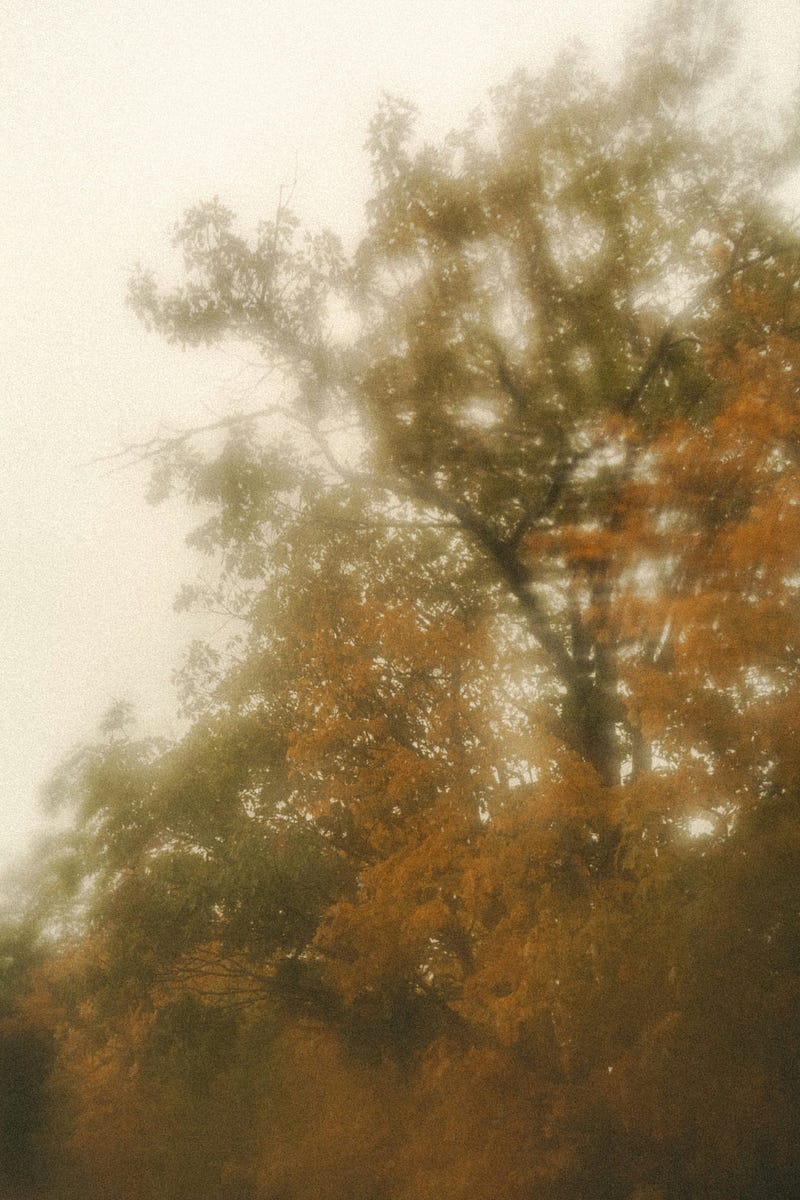 Chasing Aesthetics. It’s summer, but I want autumn. | by Martha May ...