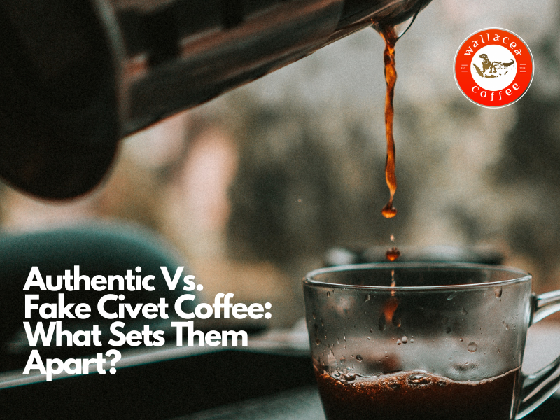 Authentic Vs. Fake Civet Coffee: What Sets Them Apart? | by Rahmajeng ...
