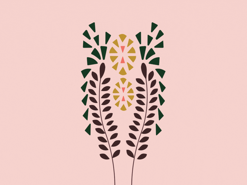 Classifying Flower through Sequential-API-Deep Learning. | by AI ...