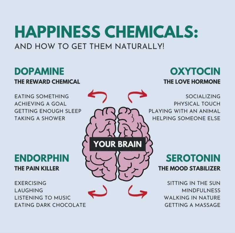 What you Need to Do to Increase the Happiness Factor in Life | by Chris ...