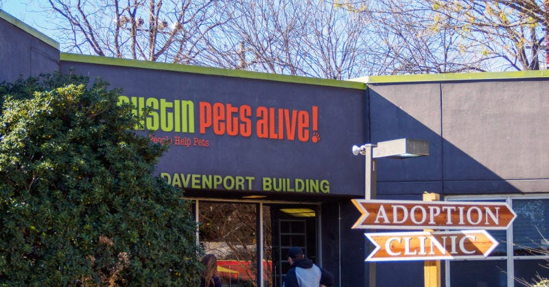 Predicting Austin Area Pet Adoptions | by Ilan Yoav | Dec, 2023 | Medium