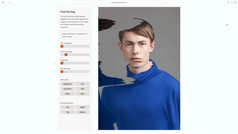 Transforming Portrait Photography: The Magic of Pixel Sorting | by ...