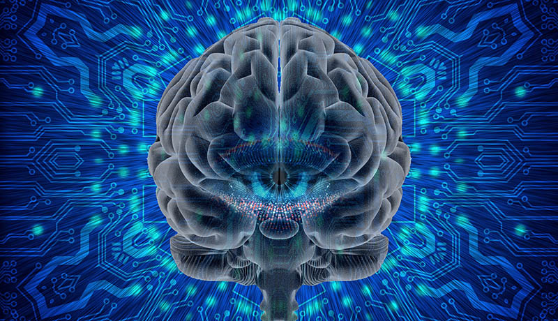 Can We Artifically Create Complex Human Brains? — An Intersection ...