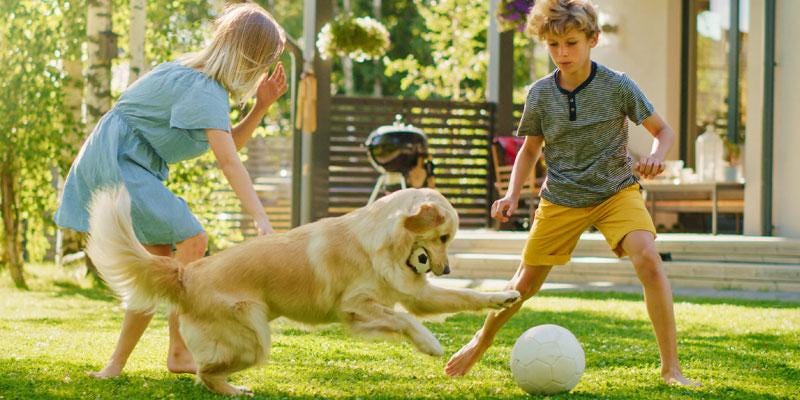 Trusted Solution for Pest Management in Conyers | by TruNorth Pest ...