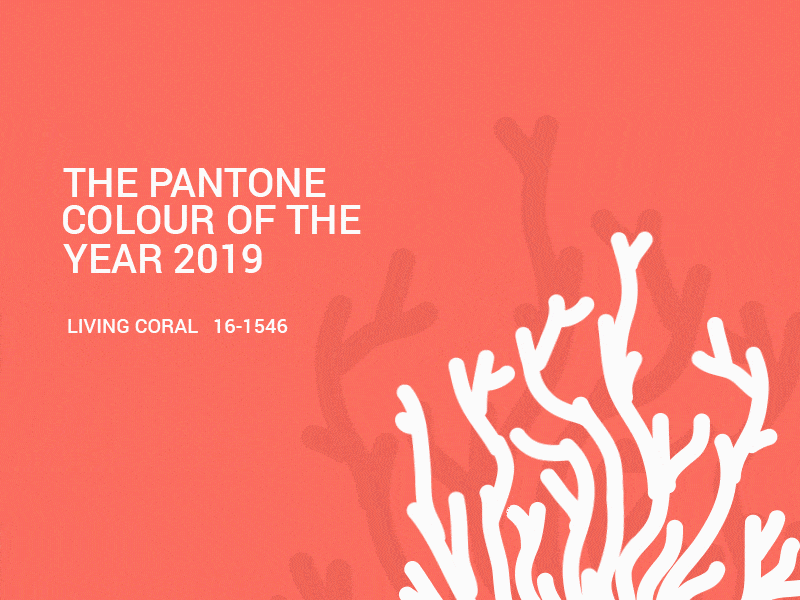 The Pantone Colour of the Year 2019 | by Design Studio | UX Planet