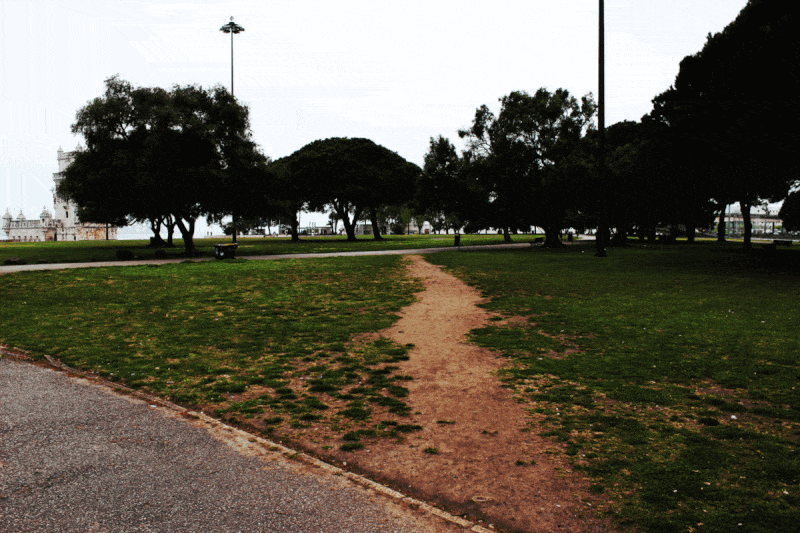 How lock-in hurts design. Felonizing the desire path. | by Cory ...