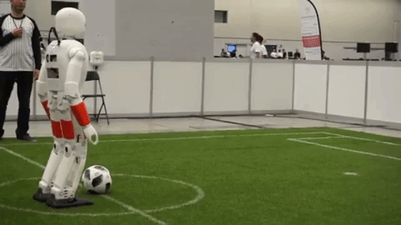 NimbRo-OP2X Is an Adult-Sized, 3D-Printed, Soccer-Playing Robot | by ...
