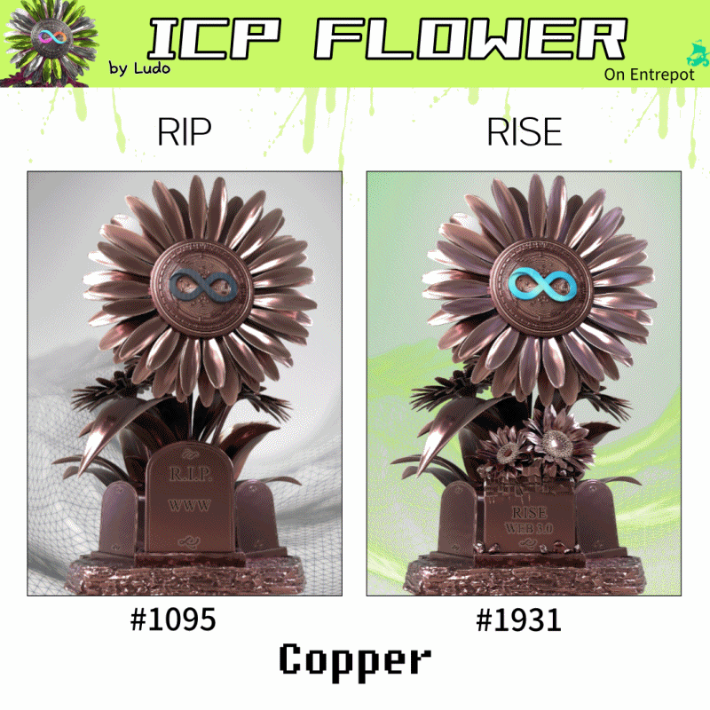 ICP FLOWER Color & Texture View at a Glance | by HODL KIM | Medium