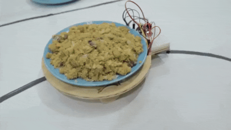 William Osman’s Turkey Serving Robots (Theoretically) Follow a Line ...