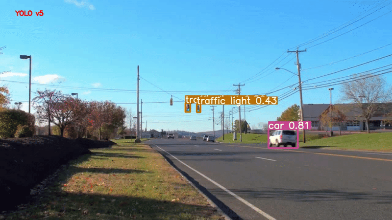 YOLOv5 compared to Faster RCNN. Who wins? | by Priya Dwivedi | TDS ...