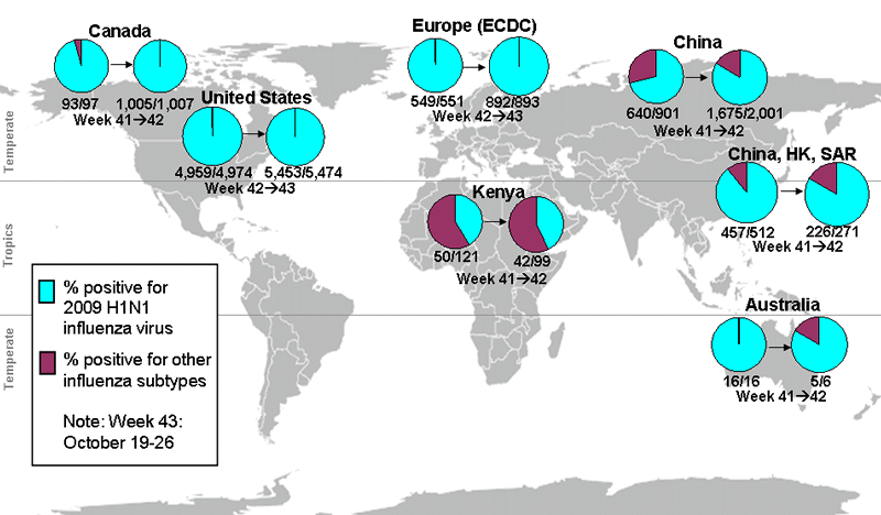 Pandemics! A Harsh Reality :(. As y’all know, at the moment our world ...