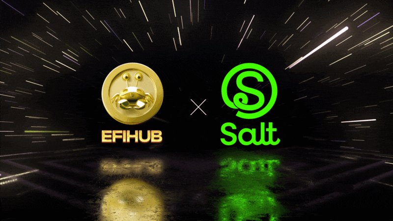 Empowering Decentralized Gaming: Salt Project Partners with EFIHUB | by ...