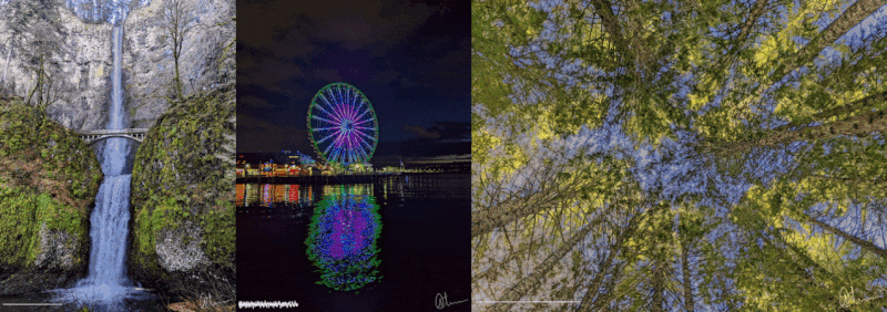 Visualizing Sound in the Wild | Anirudh Topiwala | Medium
