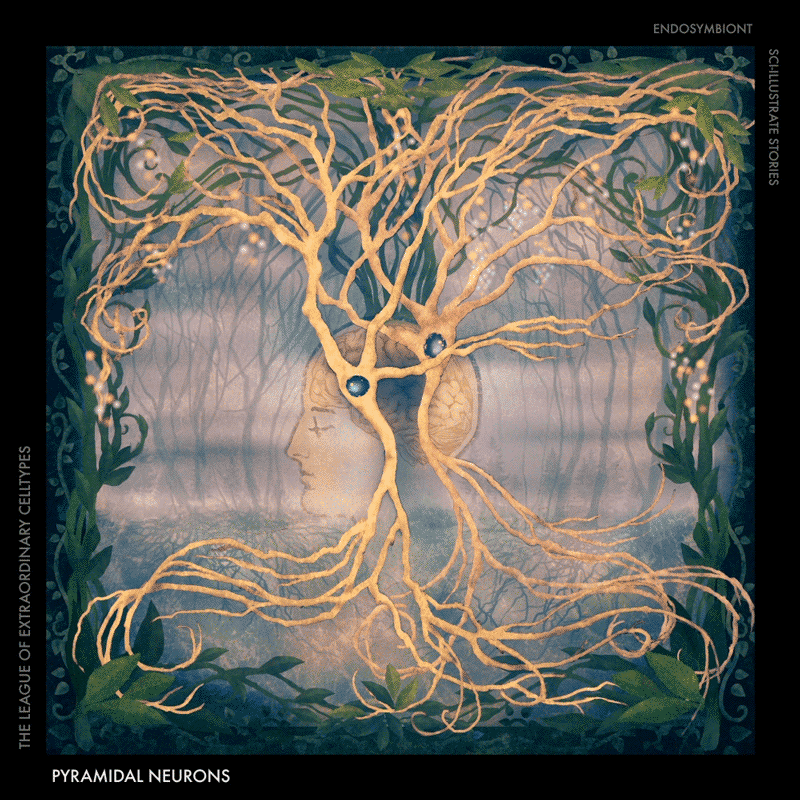 Pyramidal Neurons. The Cornerstones of Cognition | by Sci-Illustrate ...