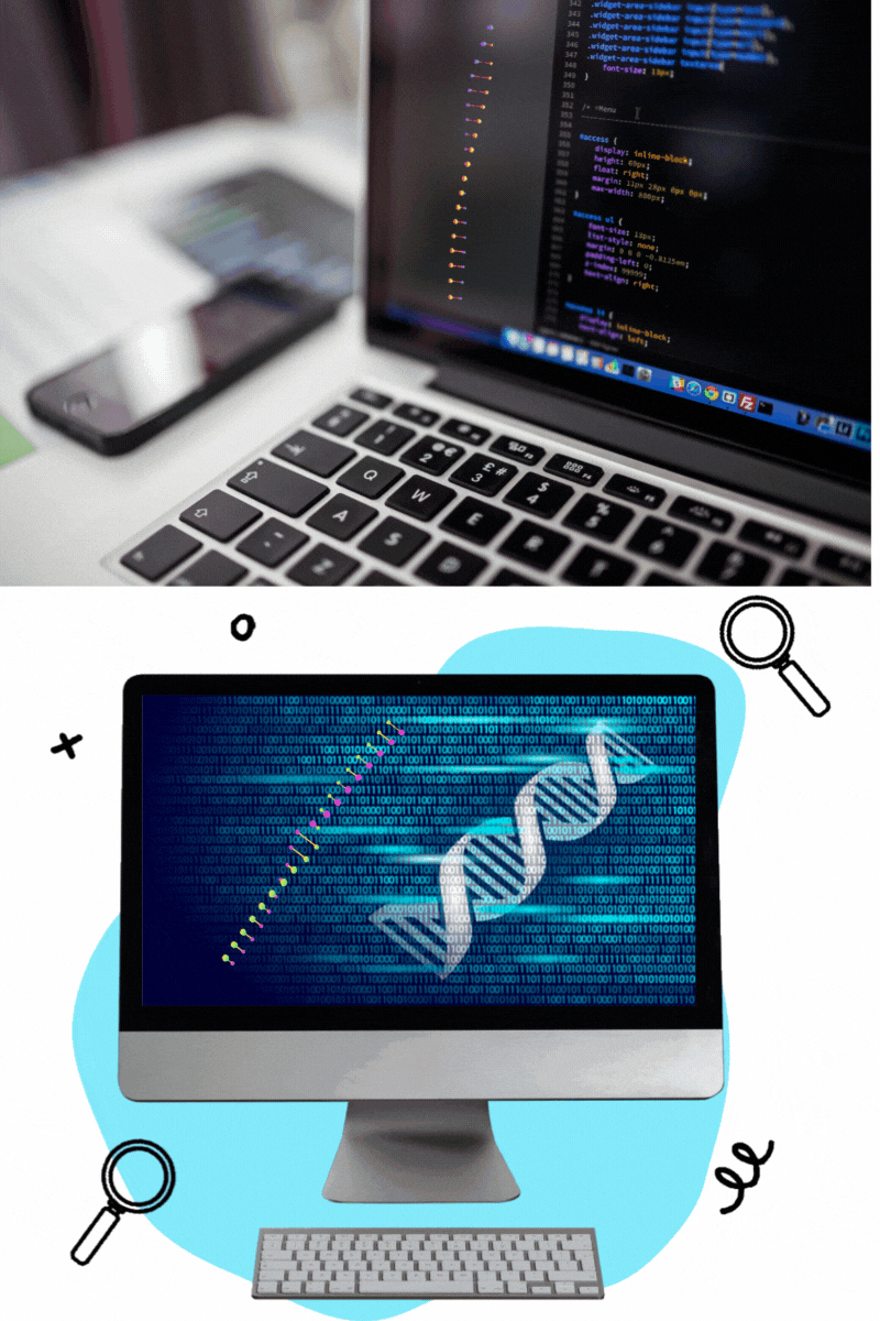 The truth about “BIOCOMPUTING” (DNA hard drive) | by Tresha May Limbre ...