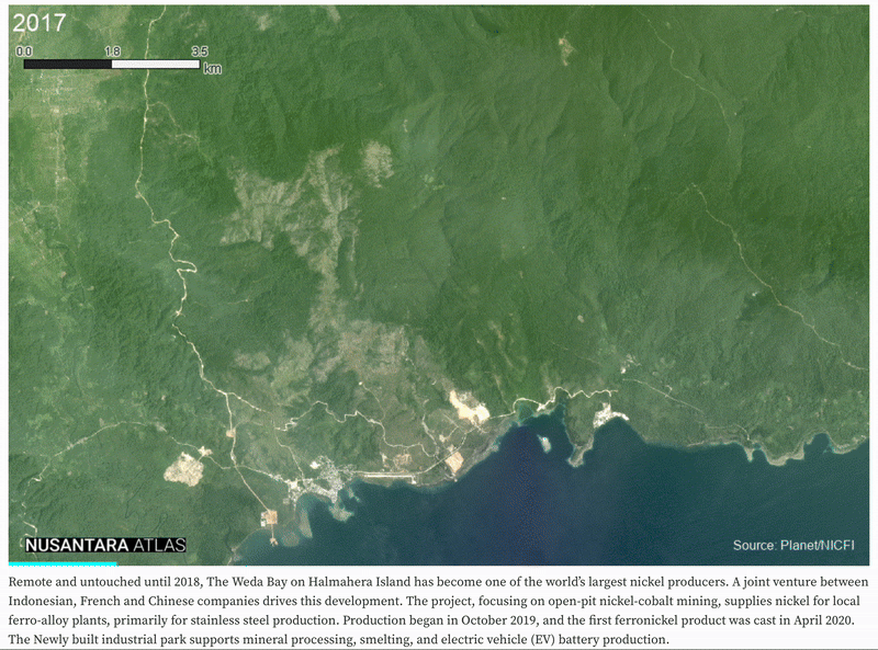 Are Electric Vehicles Really Green? Not If You Ask the Indonesian Forest. | by Fanny Ningrum ...