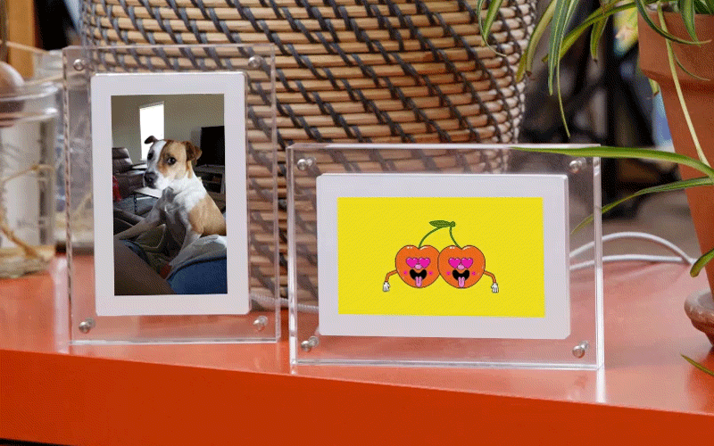 A New Day for GIFs, Video, and IO | by Roxy Fata | Infinite Objects | Medium