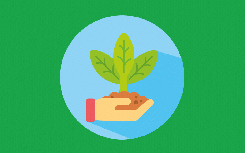 Weed Classification for Robotic Agriculture — Week 1 | by Metehan ...