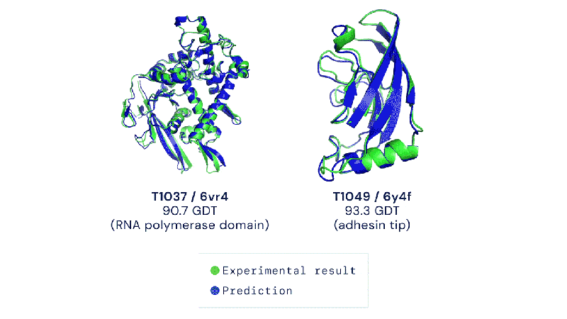 Helping Drug Research and development — accelerating AlphaFold inference and training | by HPC ...